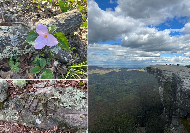 Appalachian Trail Project | Wabanaki Public Health & Wellness