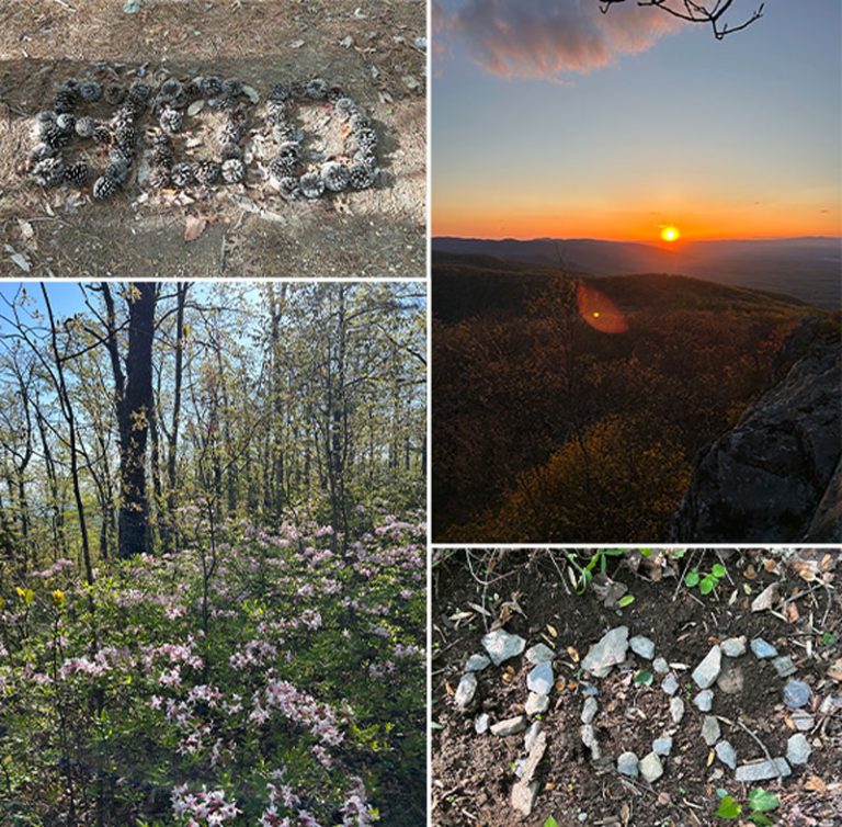 Appalachian Trail Project | Wabanaki Public Health & Wellness